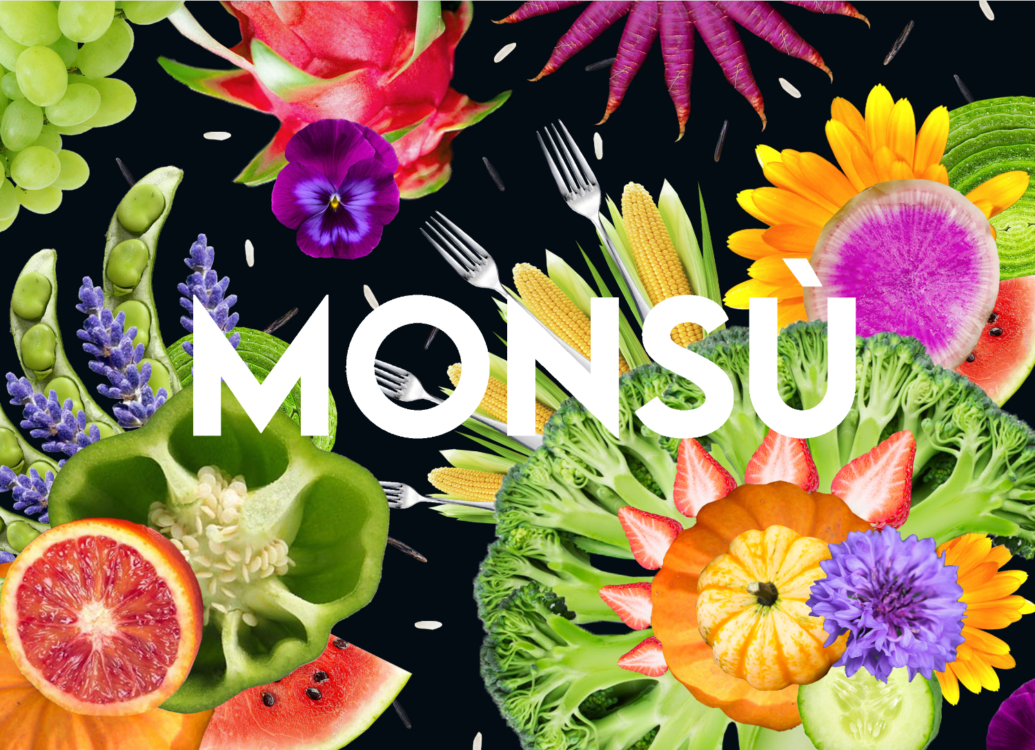 Monsù. Branding, Gesamtauftritt, Web & Shop. Büro Haeberli